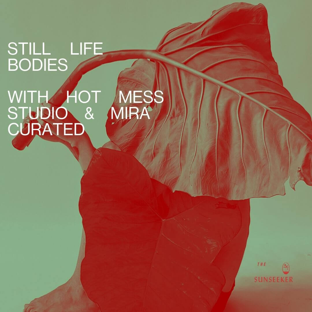 STILL LIFE BODIES